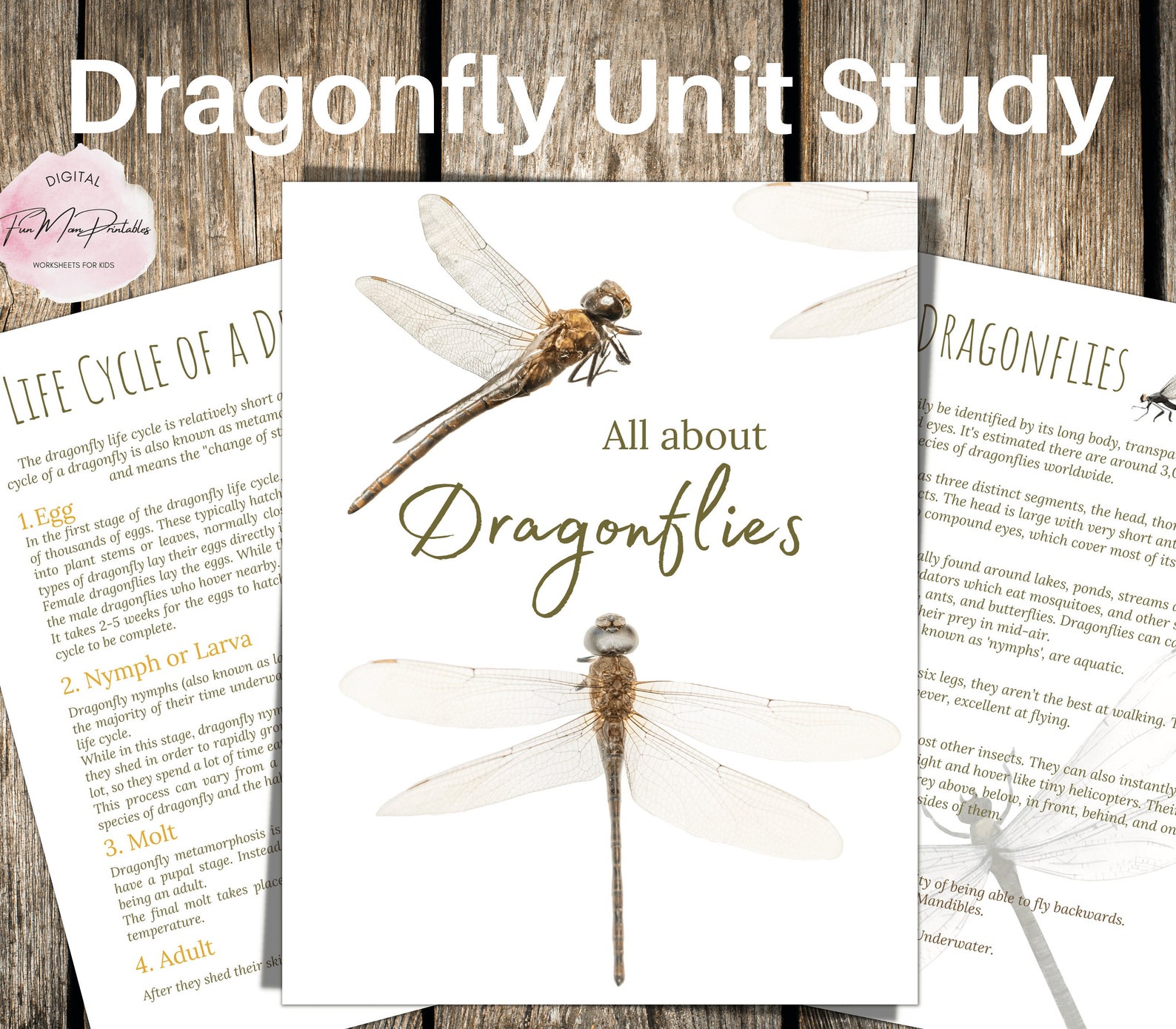DRAGONFLY Unit Study Life Cycle Anatomy Nature Study - Etsy