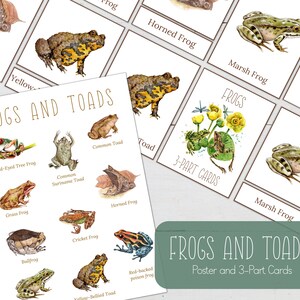 FROG Unit Study, Life Cycle, Anatomy, Nature Study, Science ...