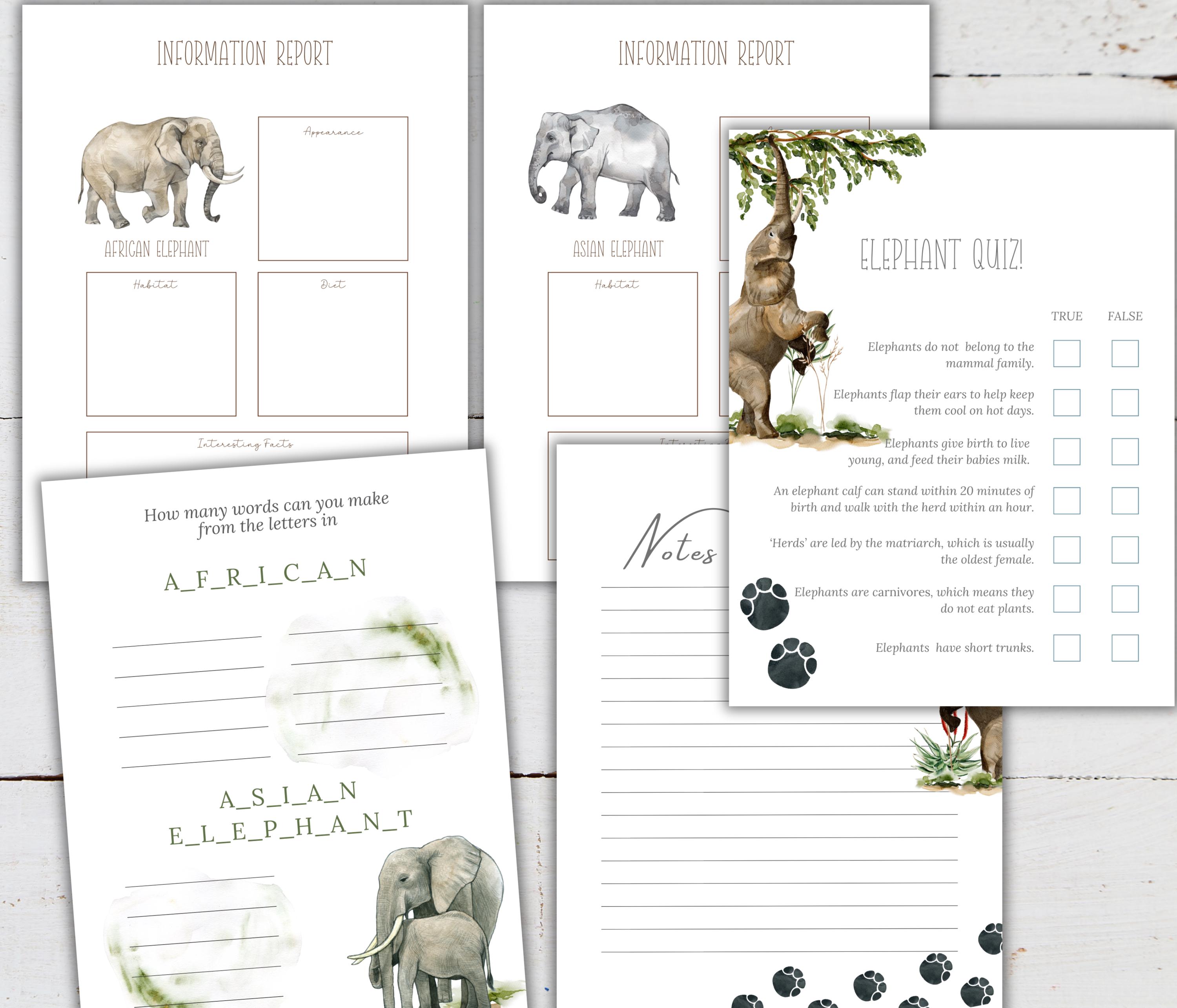 ELEPHANT Unit Study, Nature Study, Science, Handwriting, Homeschool ...