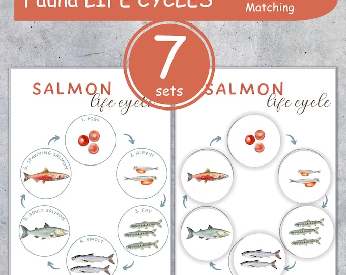 Ciclo de vida del ajolote plegable / Actividad de aprendizaje del ciclo ...