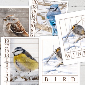 WINTER BIRDS Unit Study, Nature Study, Science, Handwriting, Homeschool ...