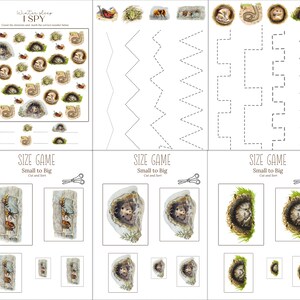 WINTER SLEEP Unit Study, Hibernation, Nature Study, Science ...