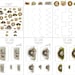 WINTER SLEEP Unit Study, Hibernation, Nature Study, Science ...