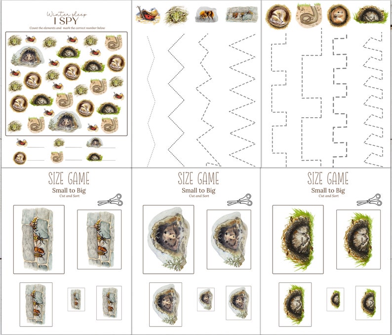 WINTER SLEEP Unit Study, Hibernation, Nature Study, Science ...