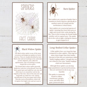SPIDERS Mini Poster, Fact Cards and 3 Part Cards, Nature, Digital DIY ...