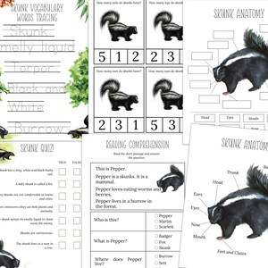 SKUNK Unit Study Life Cycle Anatomy Nature Study Science - Etsy