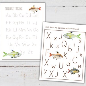LETTER of the WEEK, X is for X-ray Fish, Letter X Activities, Alphabet ...