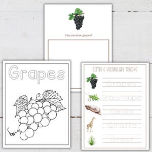 LETTER of the WEEK, G is for Grapes, Letter G Activities, Alphabet ...