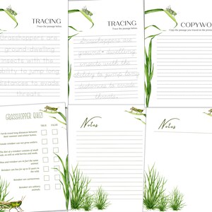 Grasshopper Unit Study: Life Cycle, Anatomy, Homeschool Printable ...