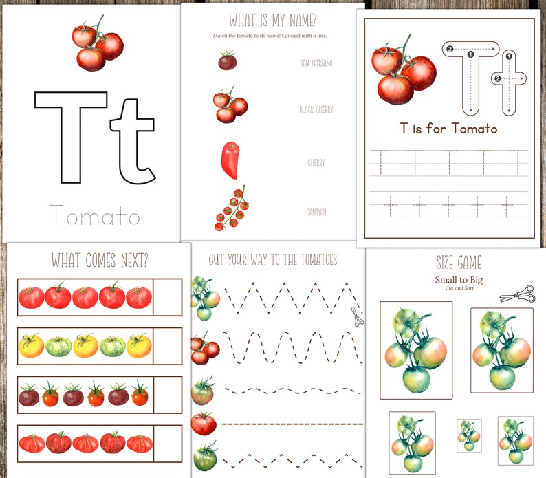 TOMATO Unit Study Life Cycle Anatomy Nature Study Science - Etsy