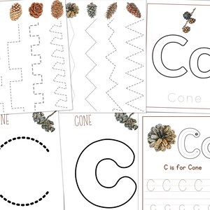 CONIFER Cones Unit Study, Vocabulary, Anatomy, Handwriting, Homeschool ...