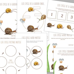 SNAIL Unit Study, Life Cycle, Anatomy, Nature Study, Science ...