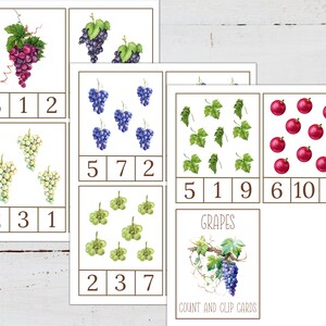 GRAPES Unit Study, Anatomy, Nature Study, Science, Handwriting ...