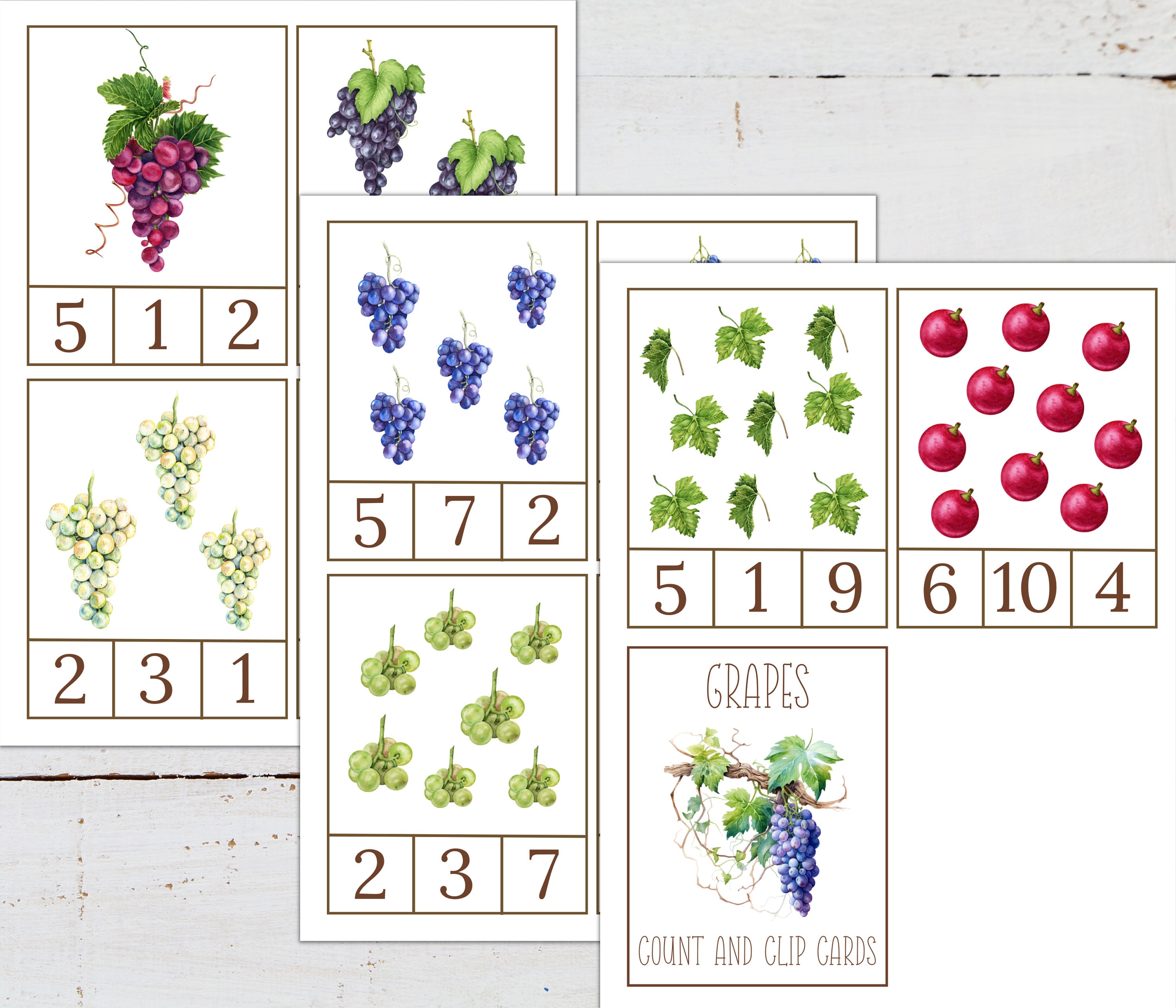 GRAPES Unit Study, Anatomy, Nature Study, Science, Handwriting ...