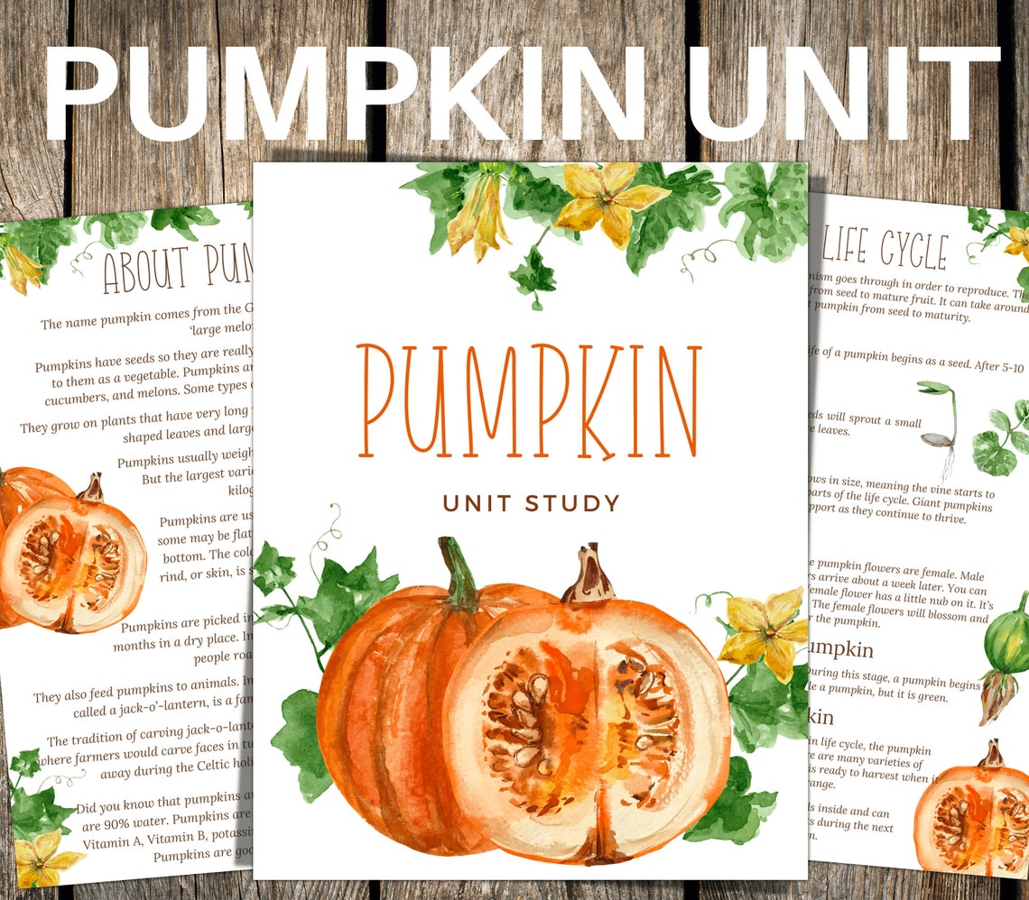 PUMPKIN Unit Study Life Cycle Anatomy Nature Study - Etsy