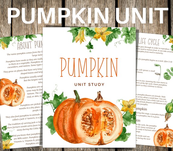 PUMPKIN Unit Study Life Cycle Anatomy Nature Study - Etsy