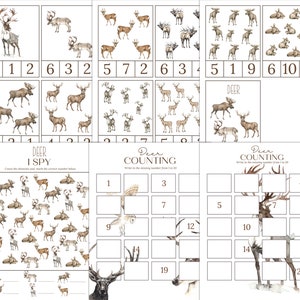 Deer Unit Study: Life Cycle, Anatomy, Homeschool Printable (instant ...