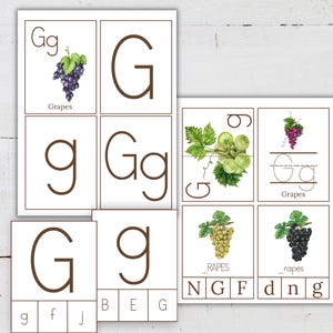 LETTER of the WEEK, G is for Grapes, Letter G Activities, Alphabet ...