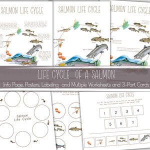 Salmon Life Cycle Unit Study: Homeschool Science Printable (INSTANT ...