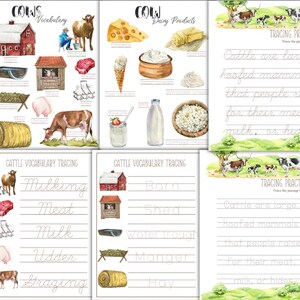COWS Unit Study, Cattle, Life Cycle, Anatomy, Farm Animals, Nature ...