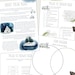 Earth Poles Unit Study Bundle: Antarctic Animals, Polar Bear (printable ...