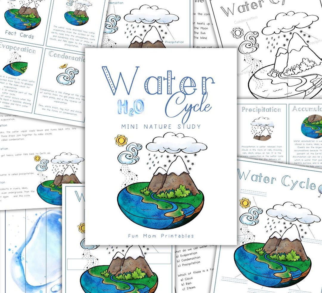 WATER CYCLE Mini Unit Study (printable PDF) - Etsy