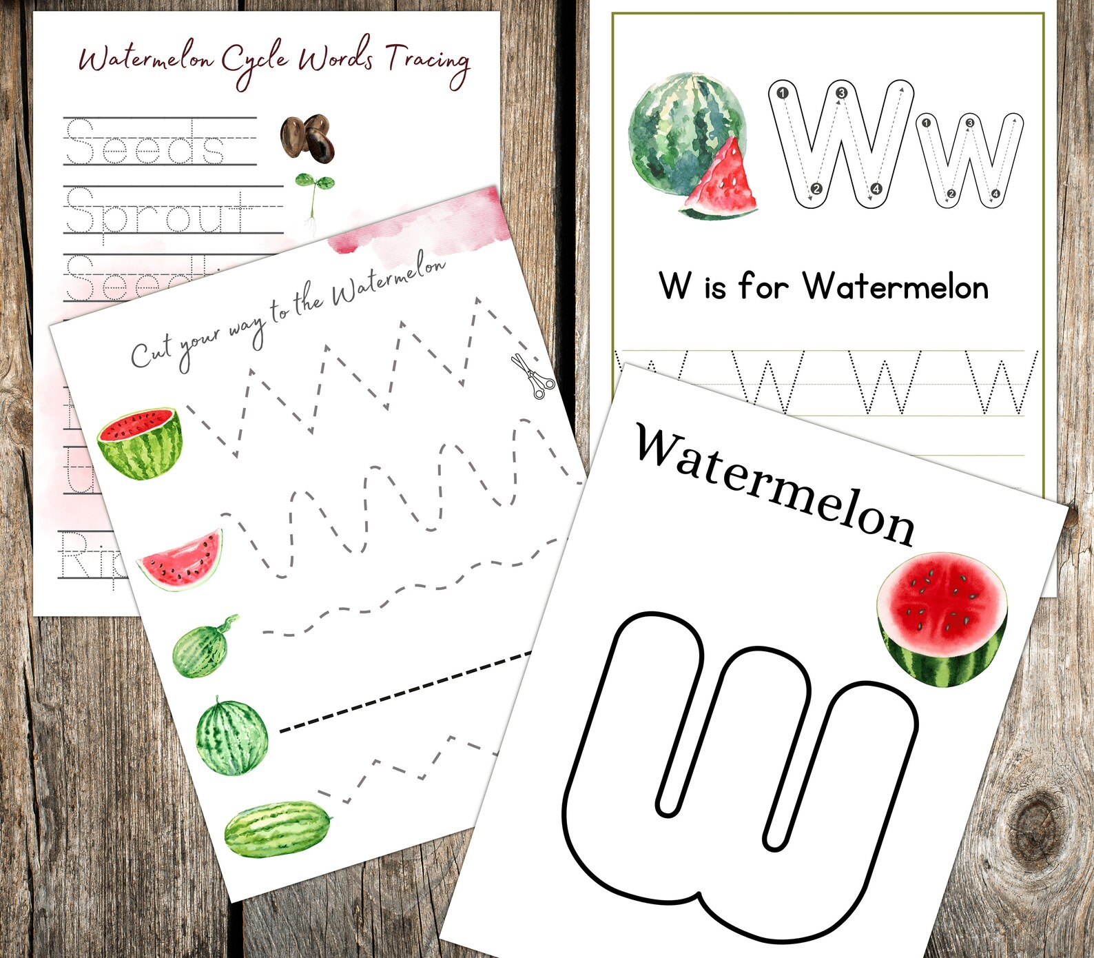 WATERMELON Unit Study Life Cycle Anatomy Nature Study - Etsy