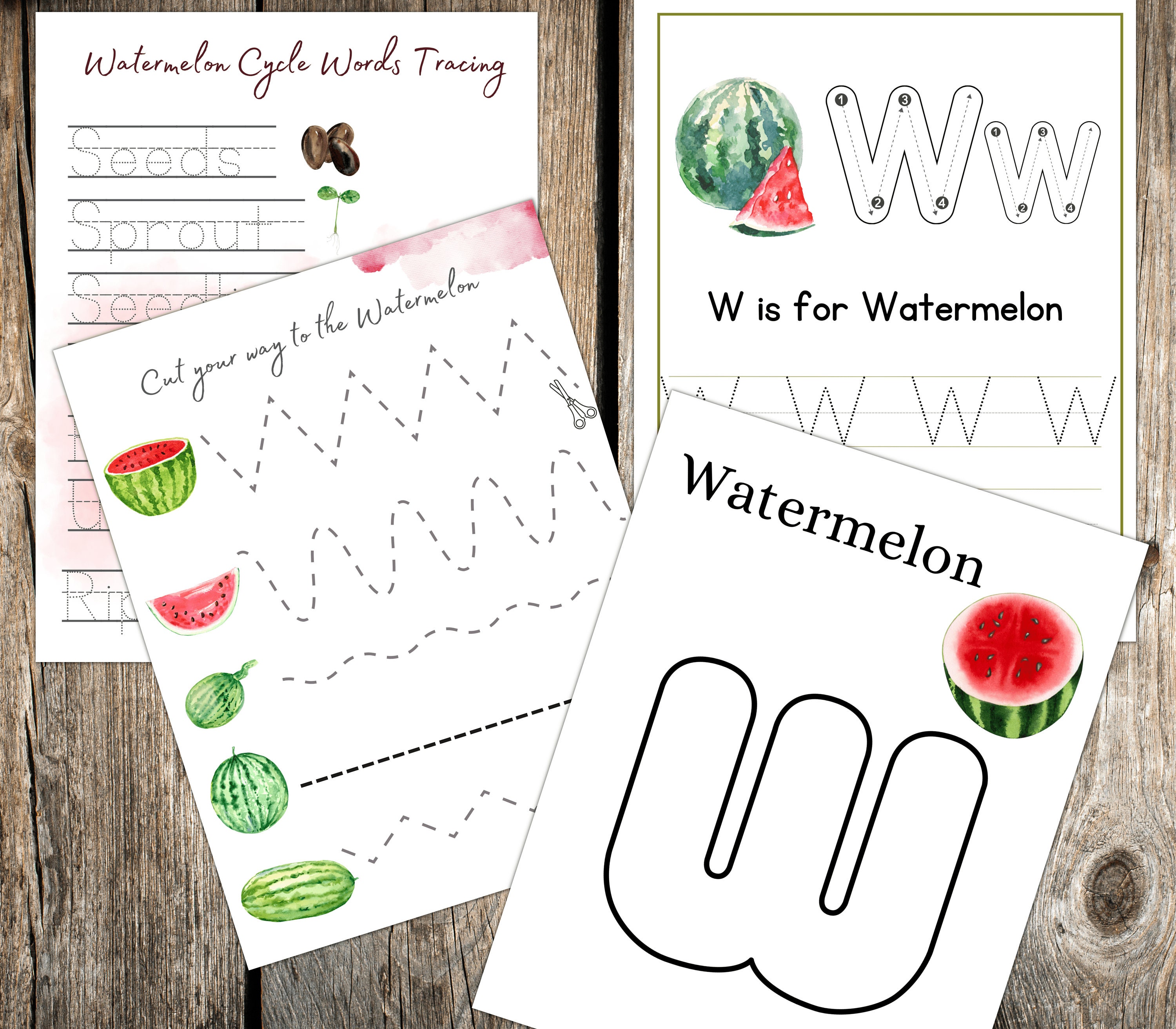 WATERMELON Unit Study Life Cycle Anatomy Nature Study - Etsy