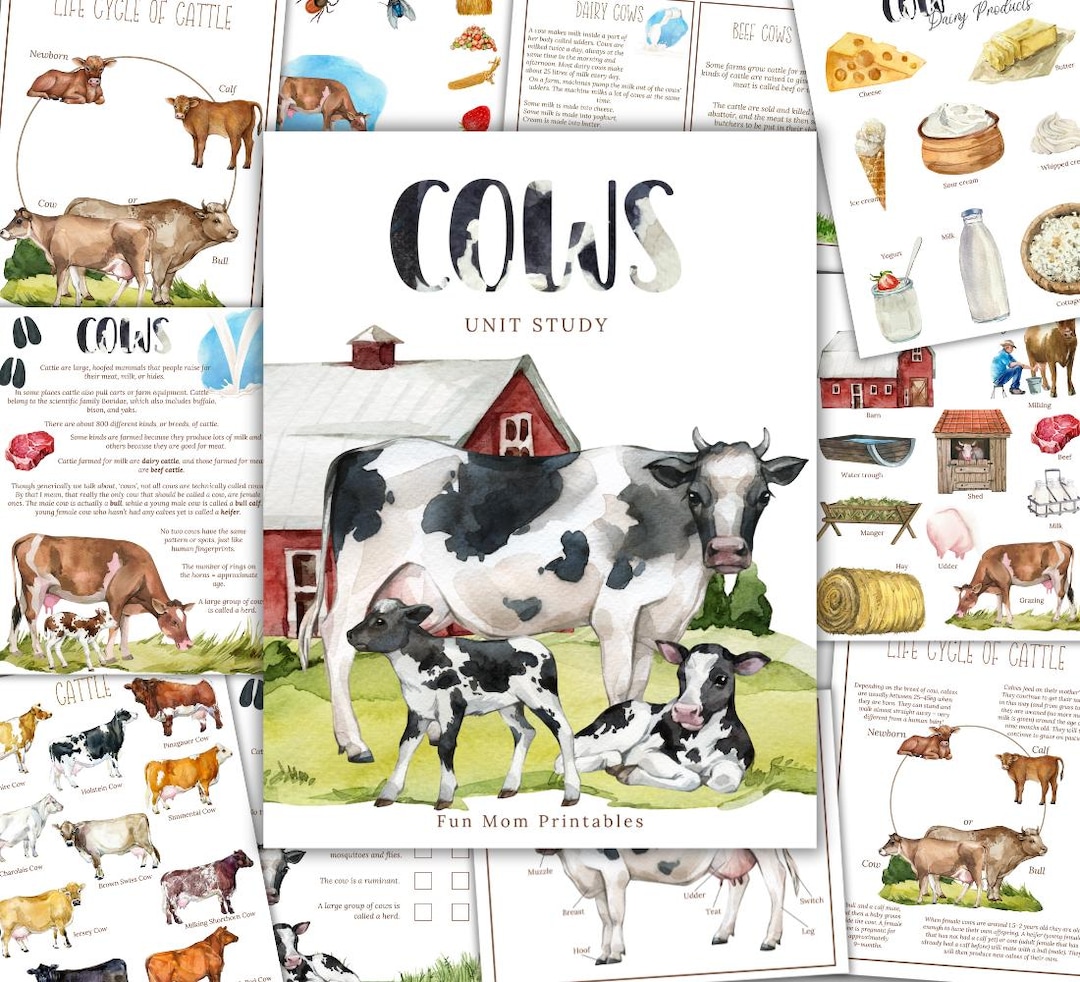 COWS Unit Study, Cattle, Life Cycle, Anatomy, Farm Animals, Nature ...