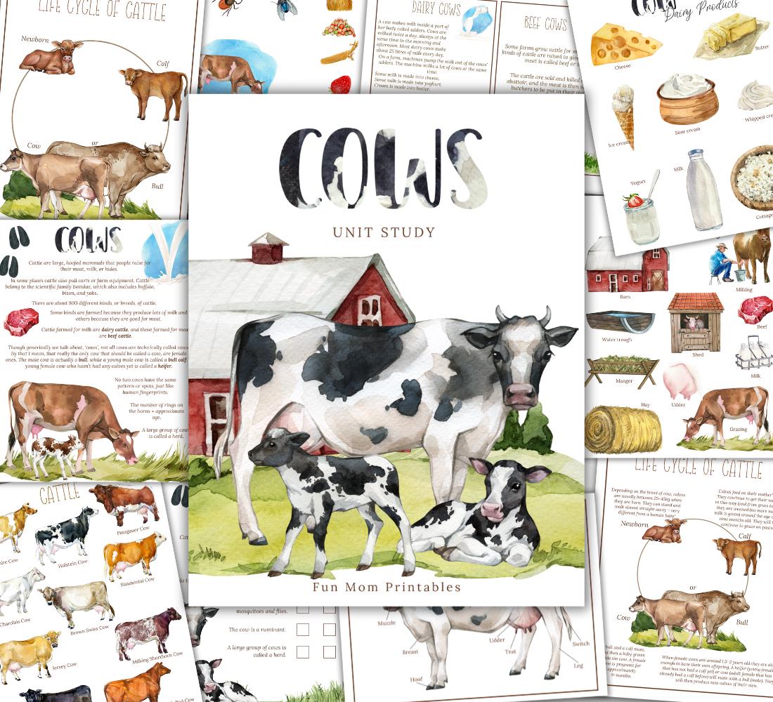 Cows Unit Study: Cattle Life Cycle, Anatomy (homeschool Printable) - Etsy