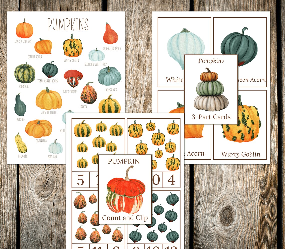 PUMPKIN Unit Study Life Cycle Anatomy Nature Study - Etsy