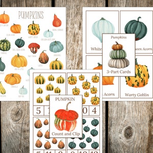 PUMPKIN Unit Study Life Cycle Anatomy Nature Study - Etsy