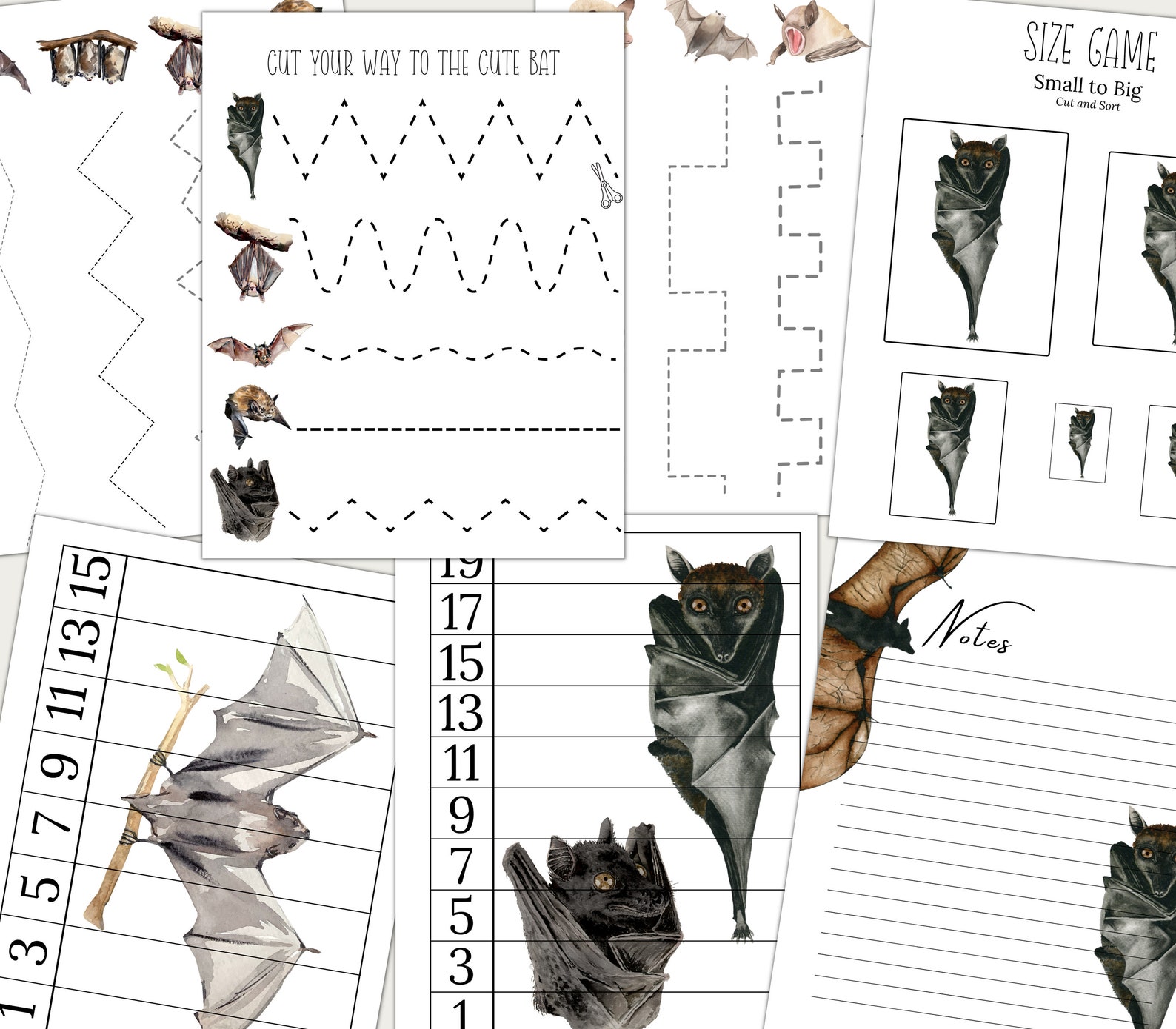 BATS Unit Study Life Cycle Anatomy Nature Study Science - Etsy