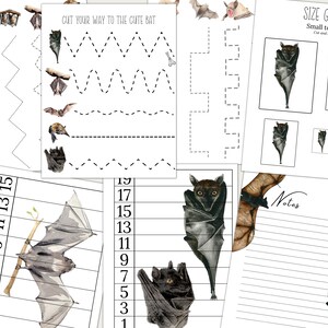 BATS Unit Study Life Cycle Anatomy Nature Study Science - Etsy