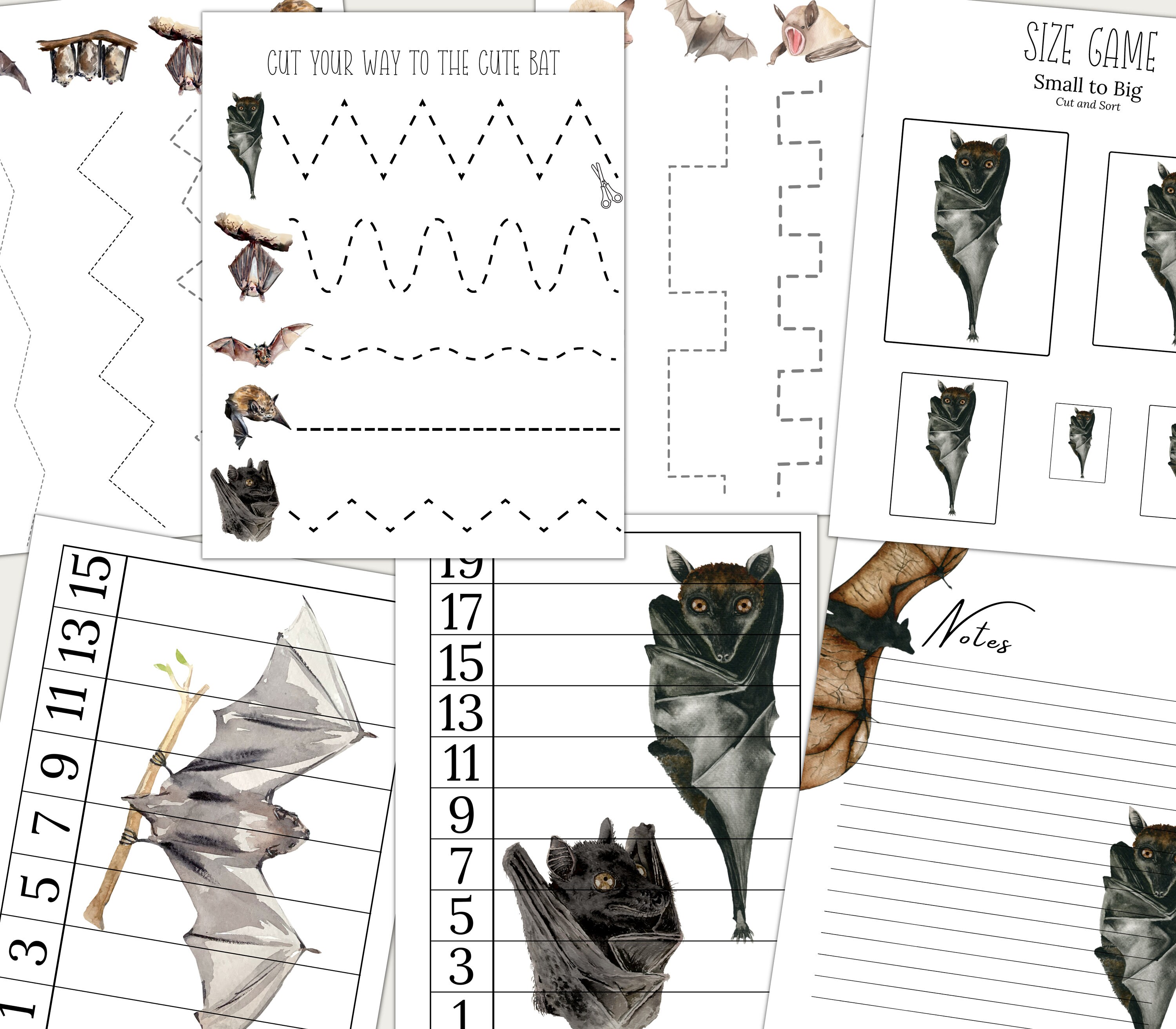 BATS Unit Study Life Cycle Anatomy Nature Study Science - Etsy Australia