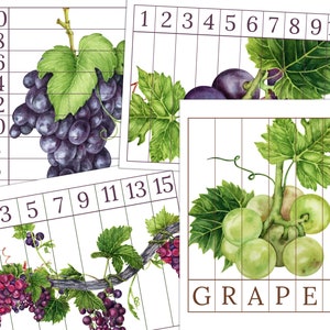GRAPES Unit Study, Anatomy, Nature Study, Science, Handwriting ...
