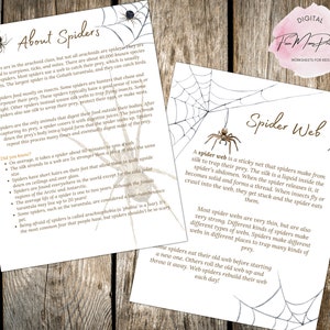 SPIDER Unit Study Life Cycle Anatomy Nature Study Science - Etsy