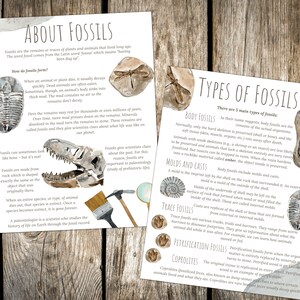 FOSSILS Unit Study Anatomy Nature Study Science - Etsy
