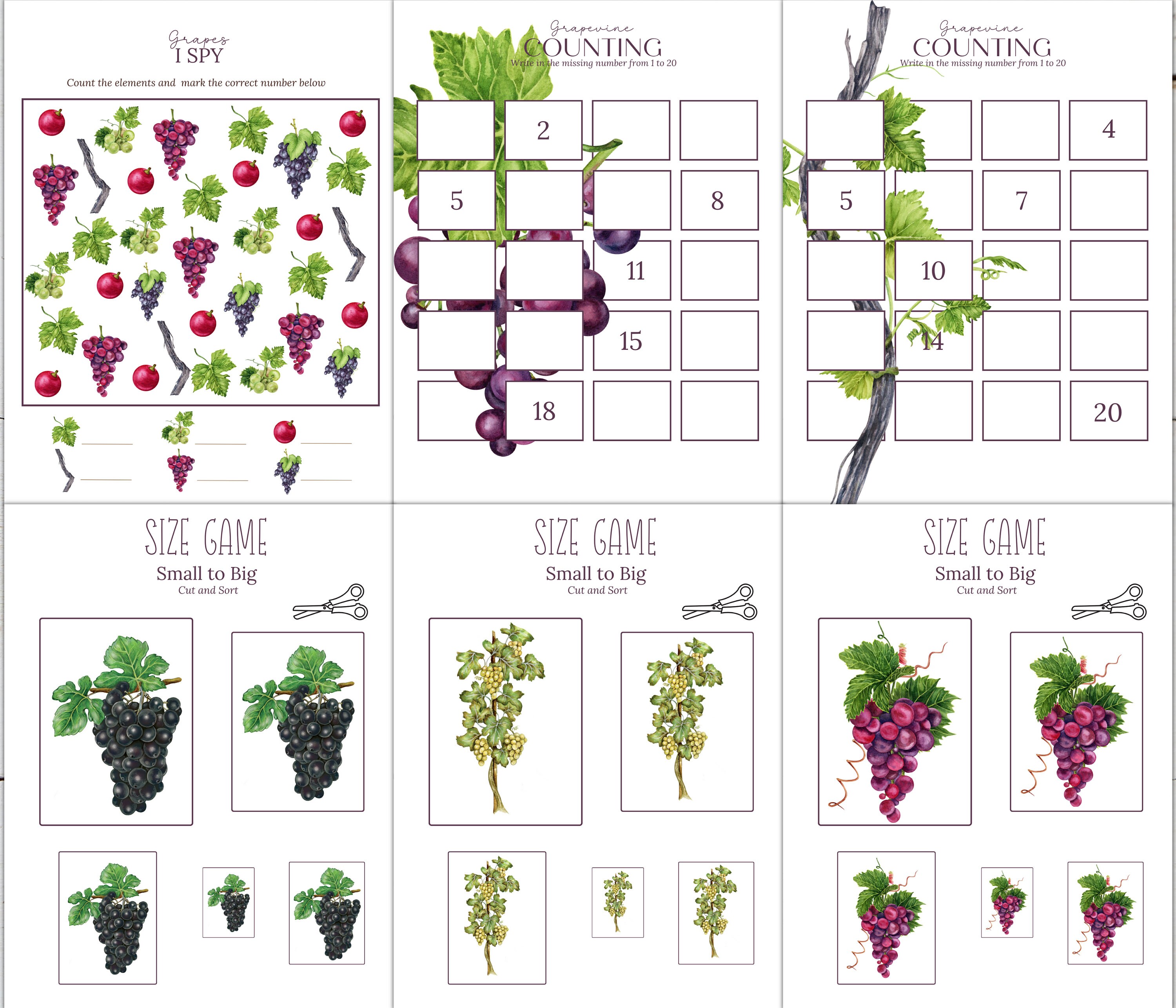 GRAPES Unit Study, Anatomy, Nature Study, Science, Handwriting ...