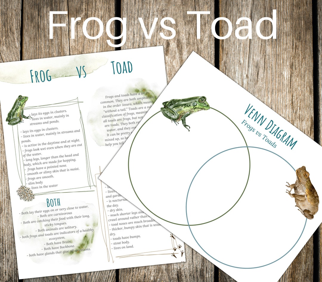 FROG Vs TOAD Venn Diagram Activity Homeschool Montessori - Etsy