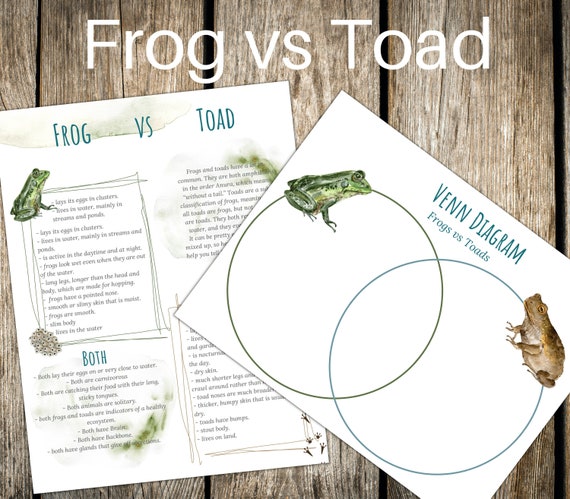 FROG Vs TOAD Venn Diagram Activity Homeschool Montessori | Etsy