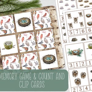 BIRD NESTS Unit Study, Nature Study, Science, Handwriting, Homeschool ...