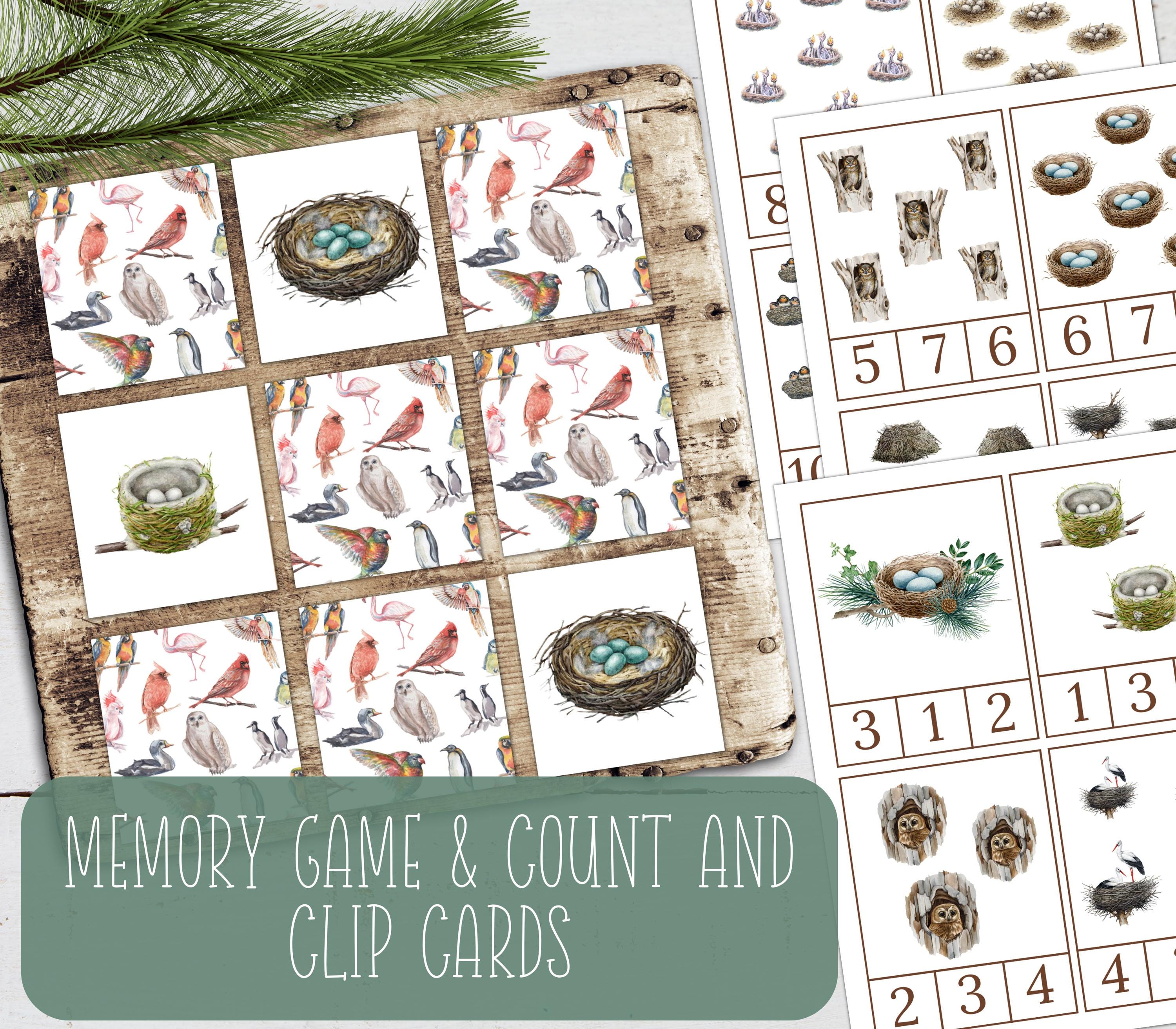 BIRD NESTS Unit Study, Nature Study, Science, Handwriting, Homeschool ...