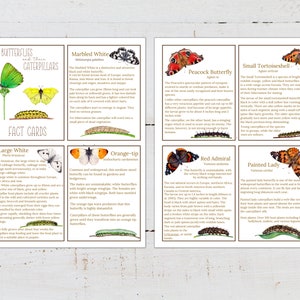 BUTTERFLIES and CATERPILLARS Mini Poster + 3-part Cards + Fact Cards ...