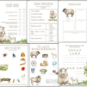 Sheep Unit Study: Life Cycle, Anatomy, Farm Activities (homeschool ...