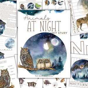 BEHAVIORS in NATURE BUNDLE symbiosis, Animal Defenses, Animals at Night ...