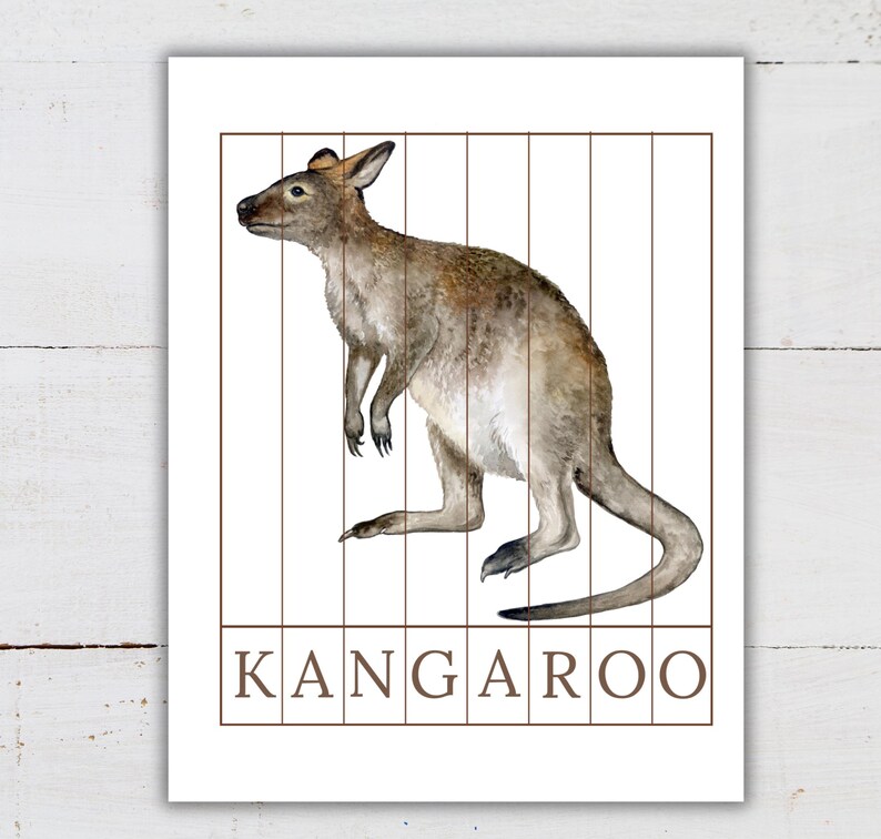 Letter K Kangaroo Learning Activities: Alphabet Printable (instant ...