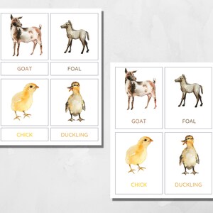 Farm Animals Montessori Cards: Printable Three Part Cards (PDF Download ...