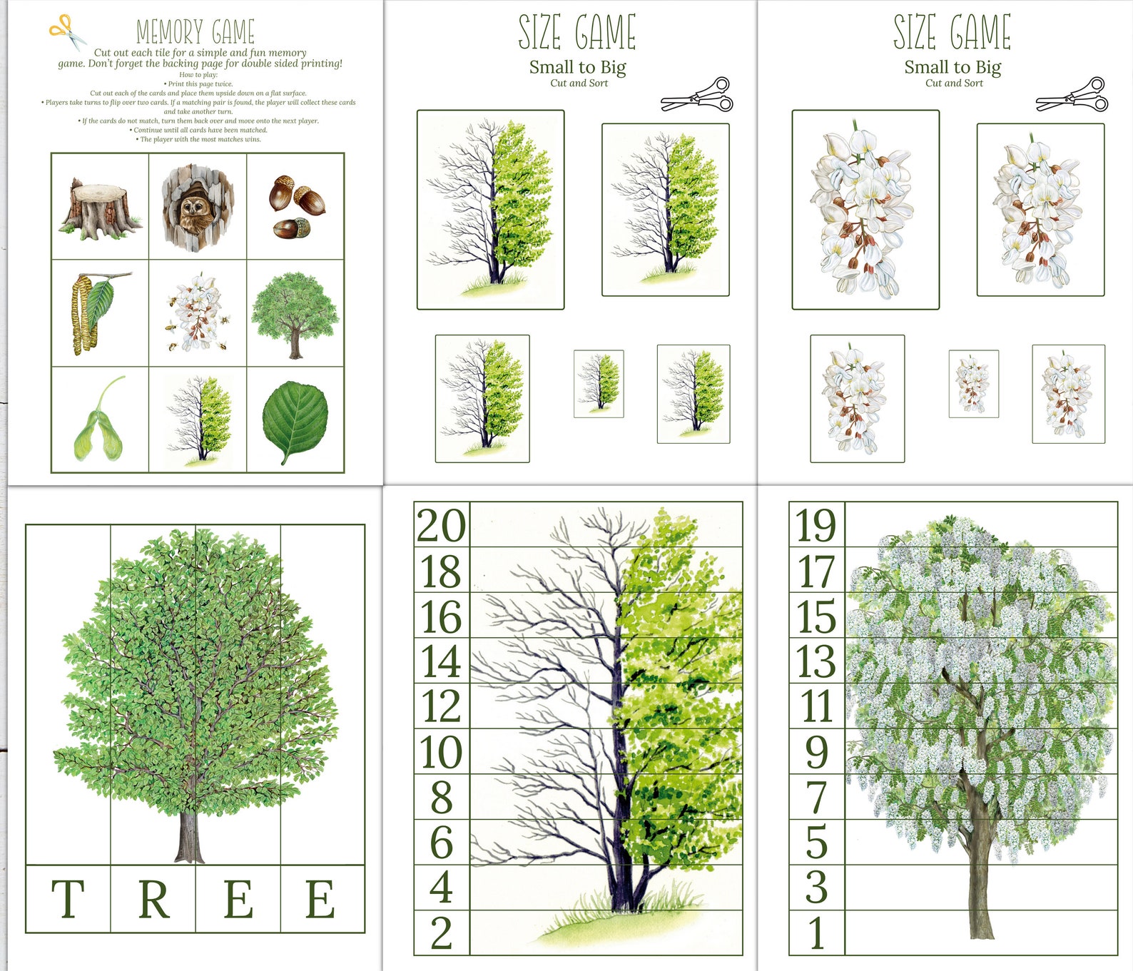 DECIDUOUS TREES Unit Study, Life Cycle, Anatomy, Nature Study, Science ...