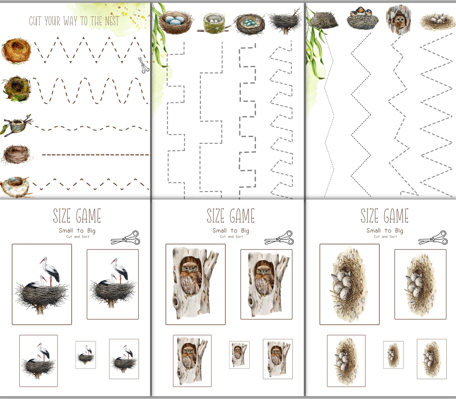 BIRD NESTS Unit Study, Nature Study, Science, Handwriting, Homeschool ...